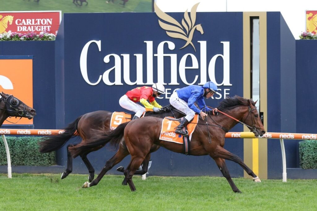 Caulfield Guineas Winners | Past Results 1881-2025 | Neds