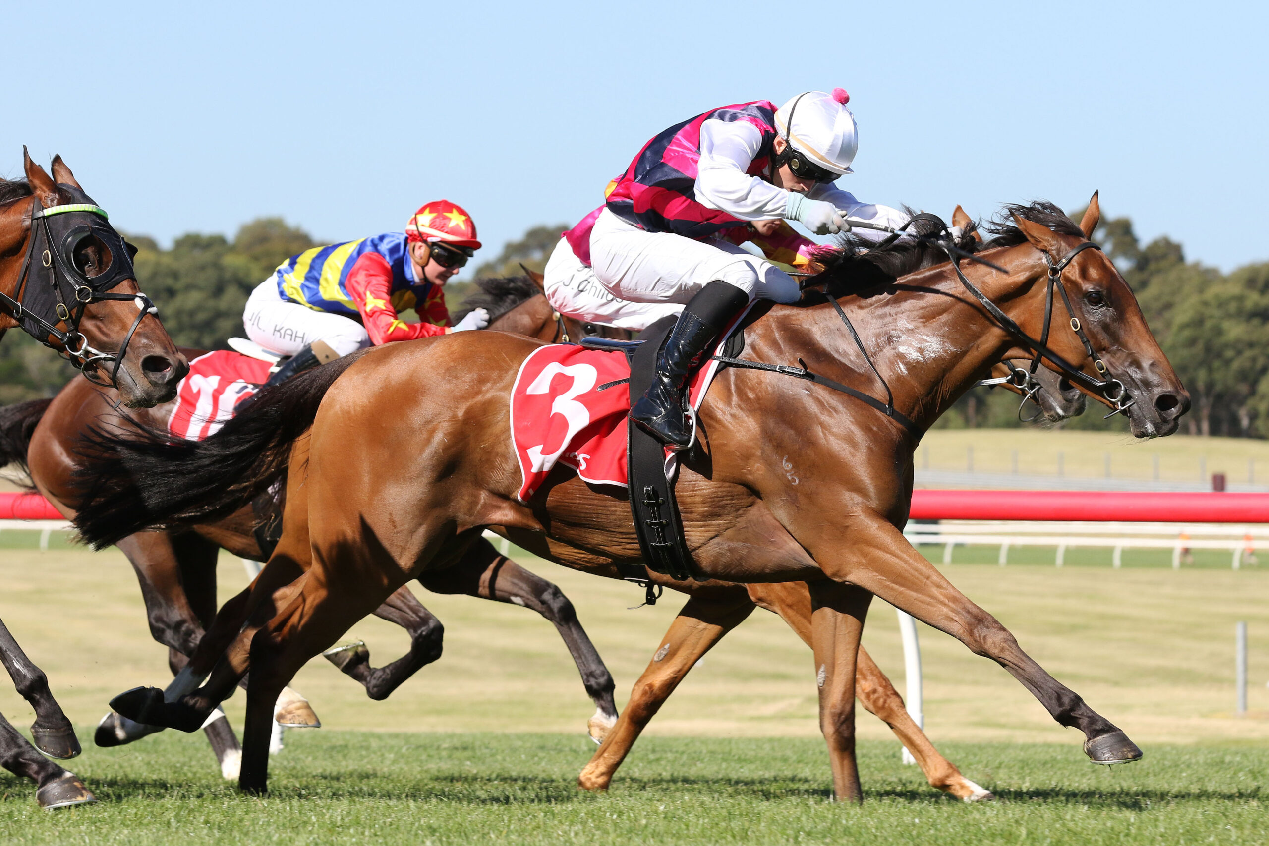 2021 Cranbourne Cup Day Tips & Preview - Neds Blog