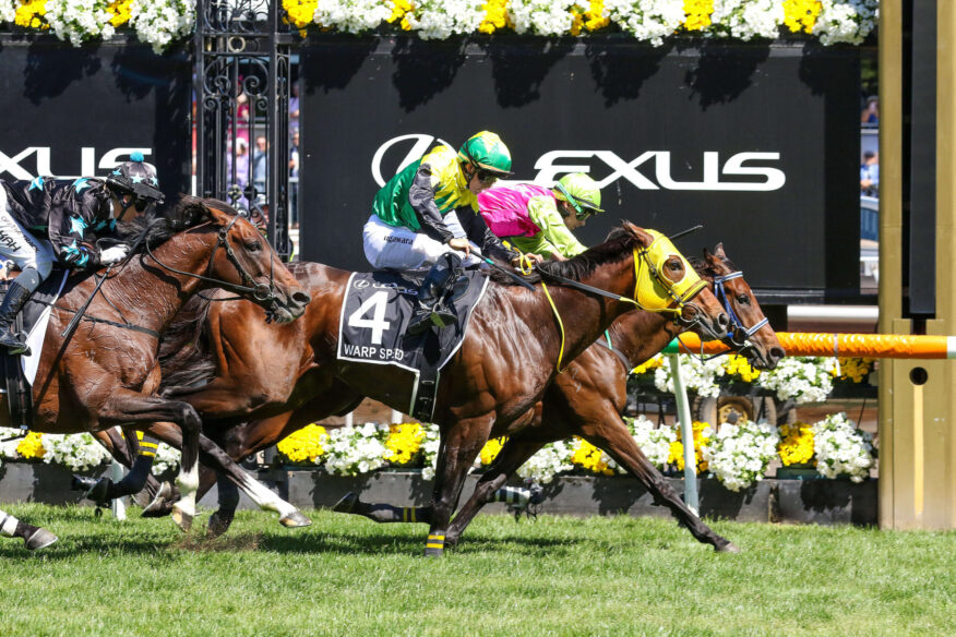 Melbourne Cup Winners - Neds Blog