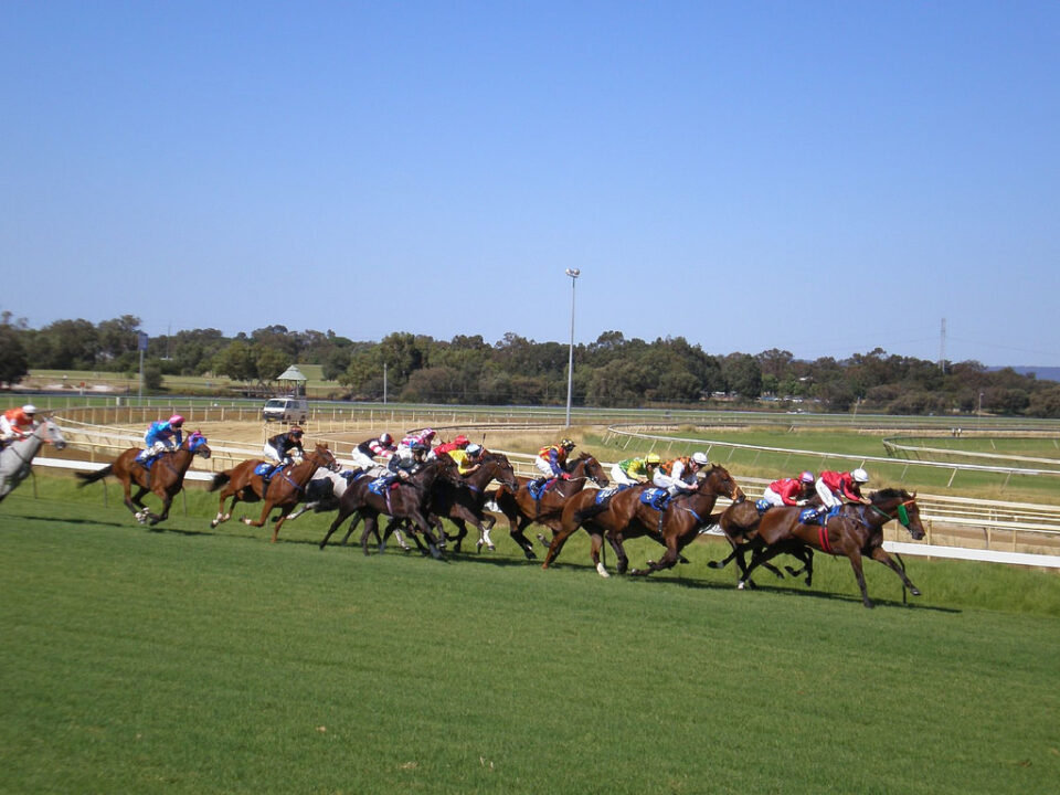 perth-cup - Neds Blog