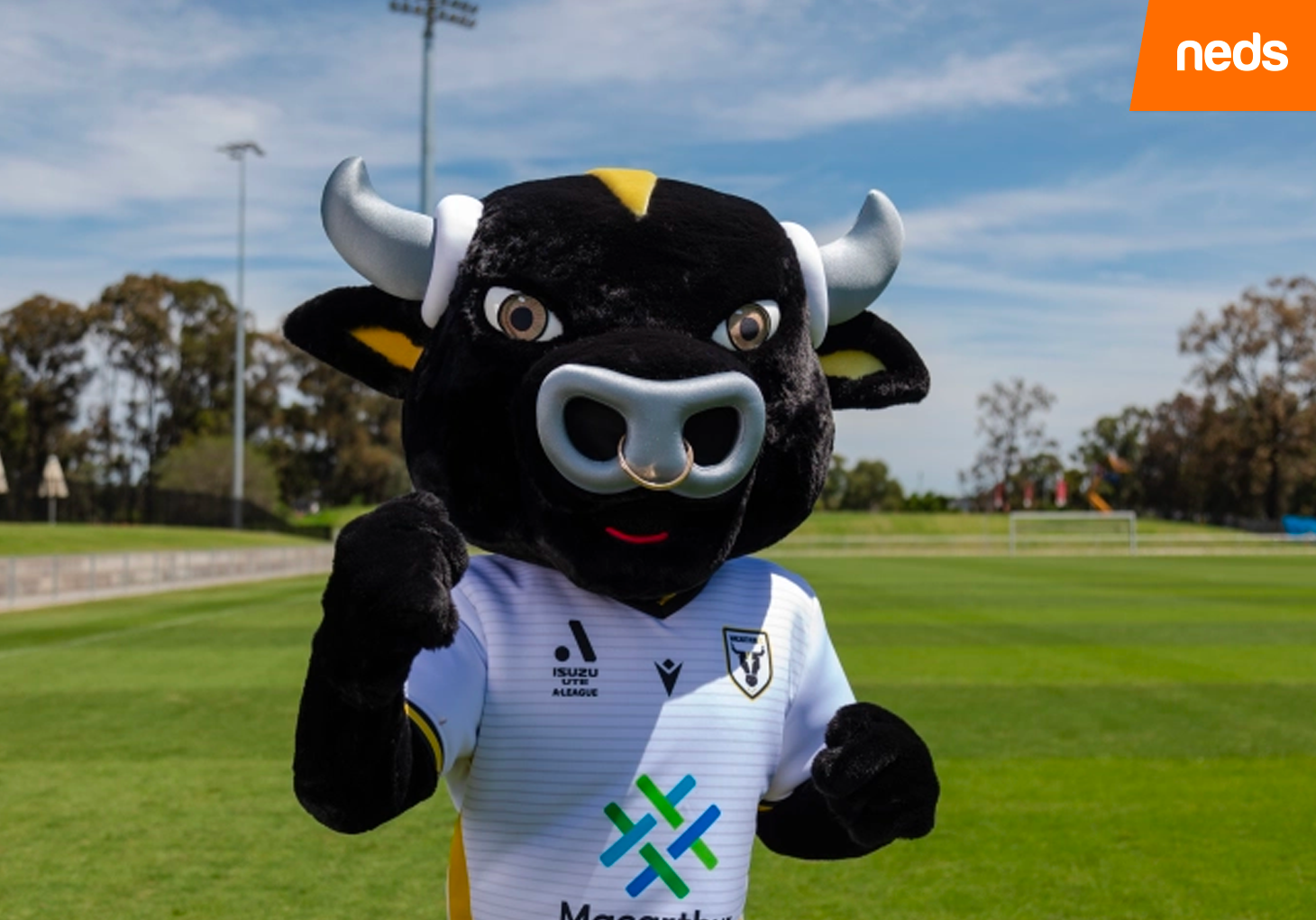 Marvelous Sports Mascots - Neds Blog