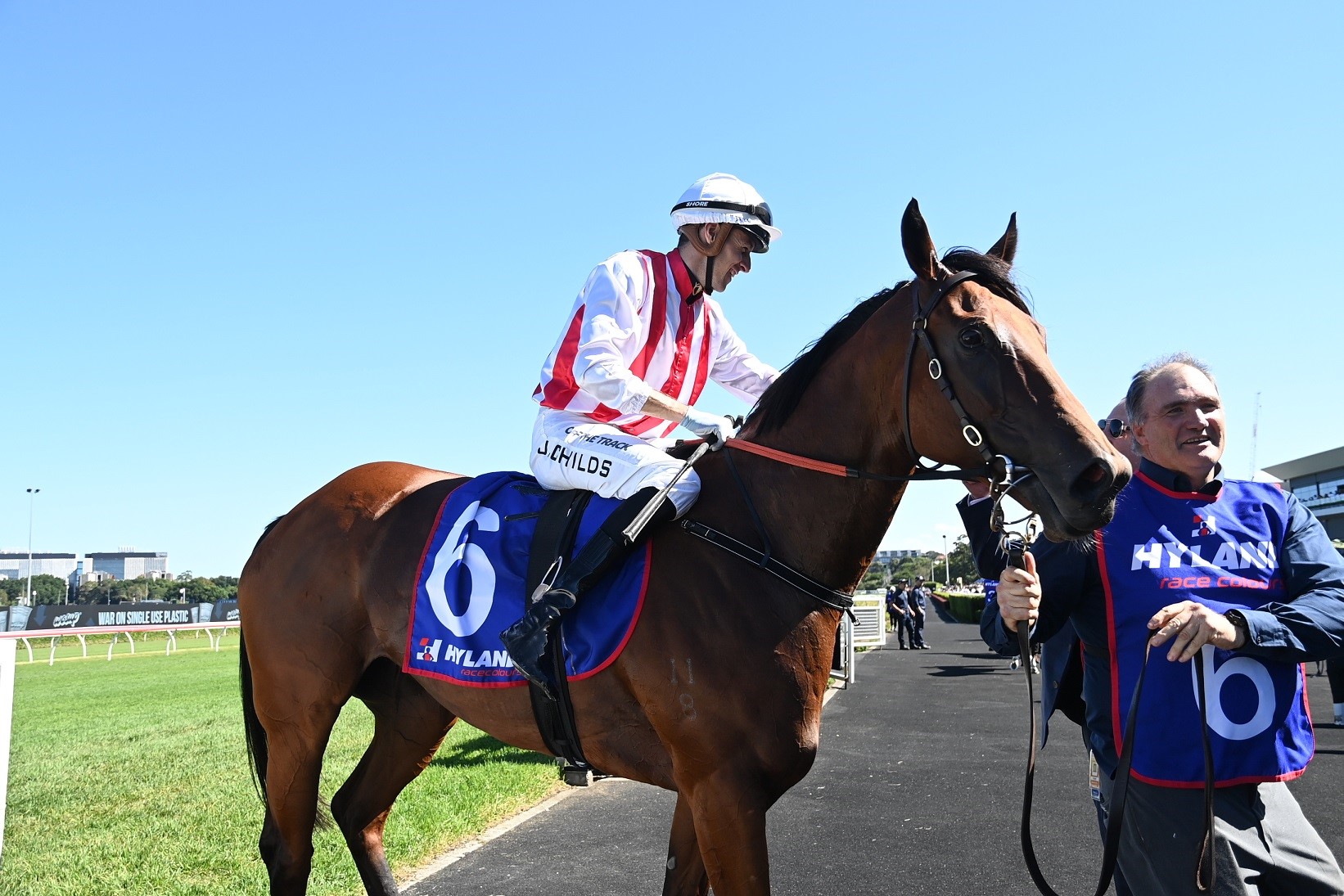 2024 Robert Sangster Stakes Day Tips & Preview - Neds Blog