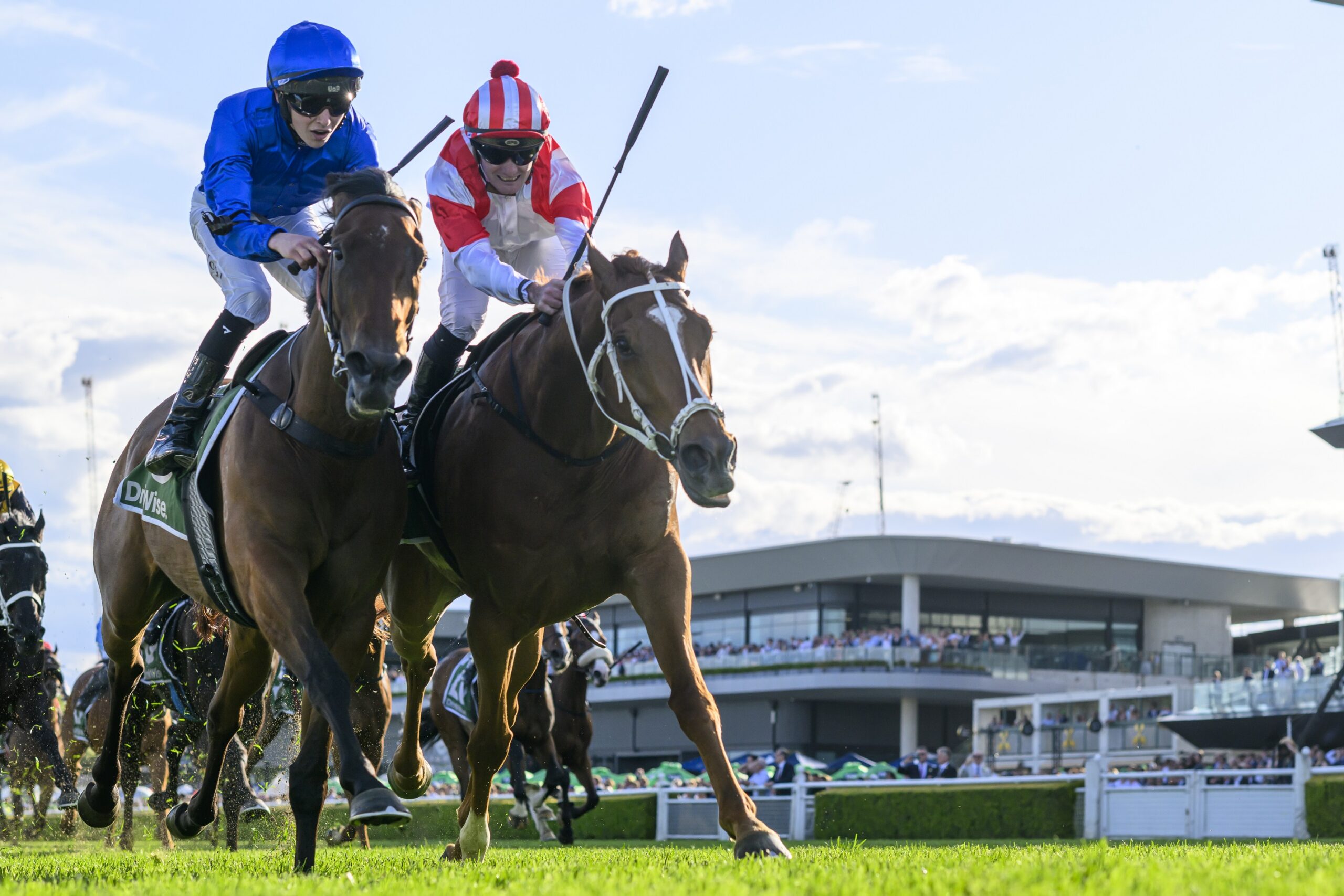 2024 Melbourne Cup Day Tips & Preview - Neds Blog